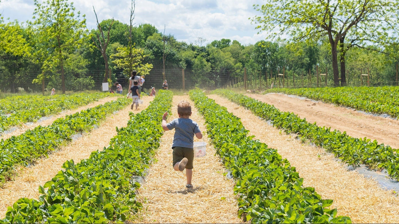 Ort Farms Farm Market PYO Events and Festivals