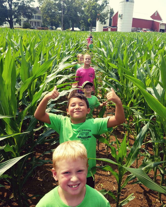 Farm Camp – Ort Farms